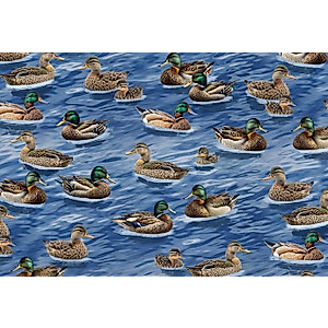 Timeless Treasures Mallard Ducks on Blue Lake Water Cotton Fabric by The Yard