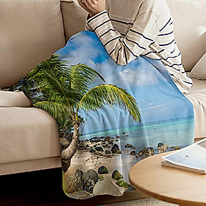 ANNAMALL Throw Blanket,30x40 InchPalm Tree Beach Sea Cloud Blue Sky Island Reef Stone Microfiber Throw Blankets Warm Cozy Lightweight Blanket for Sofa,Bed,Camping,Picnic