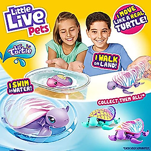 Little Live Pets 26348 Lil, S9 Single Pack-Styles Vary, Interactive, Animated Electronic Turtle, Walking & Swimming Movement, collectable pet Character Toy