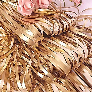 LILF 2 Pack of 3.3ft x 8.3ft Matte Metallic Foil Fringe Curtain for Birthday Party Wedding Bridal Baby Shower Photo Booth Backdrop Christmas Home Decoration Props (Matte Gold)