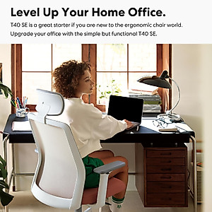 SIDIZ T40 SE Ergonomic Office Chair : Comfortable Home Office Chair for Light Users with Reclining Tilt Lock, Headrest, 3D Armrests, Mesh Back Computer Desk Chair, Alternative Gaming Chair (Gray)