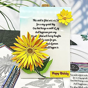 Alinacutle This Card is Filled with Wishes Craft Clear Stamps Happy Birthday Sentiments Stamps, Paper Craft Silicon Stamp for Scrapbooking/Card Making/Paper Art