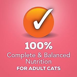 Purina Friskies Wet Cat Food, Shreds With Salmon in Sauce - (24) 5.5 oz. Cans