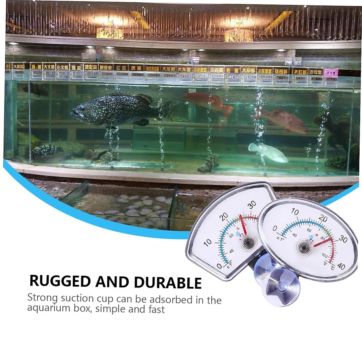 BESPORTBLE 4pcs Pointer Thermometer Aquarium Patch Thermometer Dial Thermometer Water Thermometer Fish Thermometer