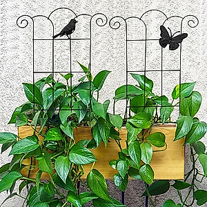Garden Plant Trellis 2Pcs Trellis for Potted Plants Iron Mini Garden Trellis for Climbing Plants Plant Climbing Rack Flower Pots Supports