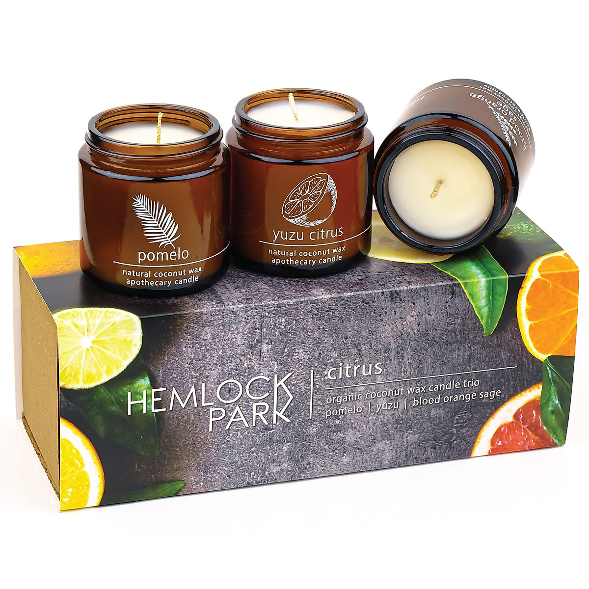 Hemlock Park Apothecary Candle Trio | Gift Set of Three 4 oz Candles Handcrafted with Natural Coconut Wax (Citrus | Pomelo, Yuzu, Blood Orange Sage)