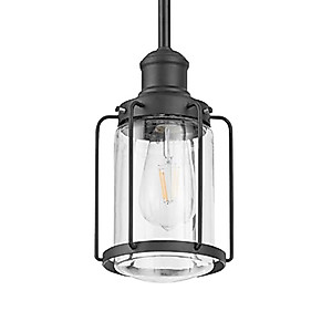 Prominence Home Lincoln Woods 1 Light Matte Black Industrial Pendant Light with Cage and Clear Glass