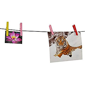 Home-X Set Large Colorful Heavy-Duty Wooden Clothespins Set of 24-8 Colors-3”L