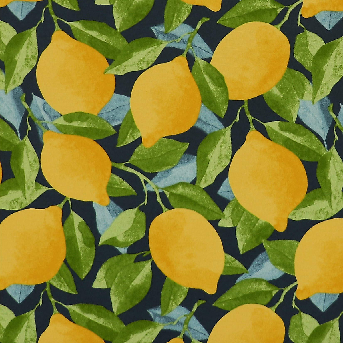 RSH DECOR: Foam Adirondack Chair Cushion | 48” x 20” x 2” | All-Weather Spun Fabric | Water and Fade-Resistant | Outdoor Cushion for Patio Furniture | Citrus Sapphire