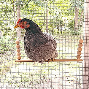 Chicken Swing Coop Toy Made in USA! Natural Wood Safe Durable Flat Bar Perch Ladder for Poultry Run Rooster Hens Chicks Pet Parrots Macaw Entertainment Stress Relief for Birds