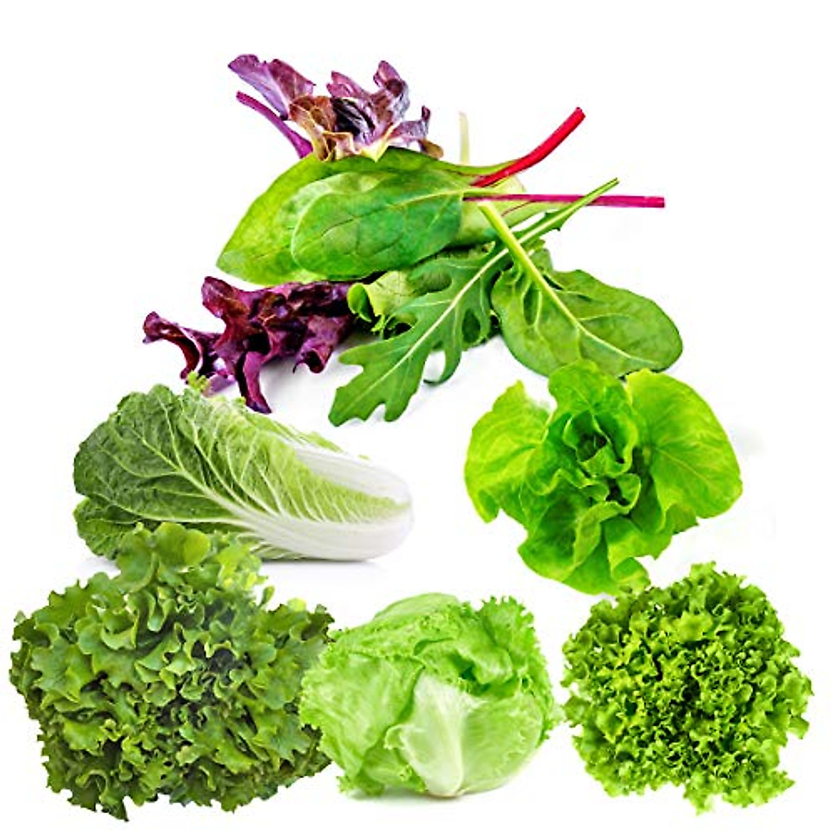 Lettuce Seeds for Planting Home Garden Outdoors - Six Pack Variety Mix of Romaine - Butter - Mesclun Mix - Leaf Salad Bowl - Head Iceberg - Black Seeded Simpson!