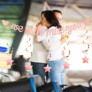 MDLLDM We Missed You Banner We Will Miss You Banner Leaving Party Decorations for Going Away Farewell Graduation Retirement Party Decorations Rose Gold