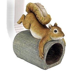 CRASH THE SQUIRREL RAIN GUTTER