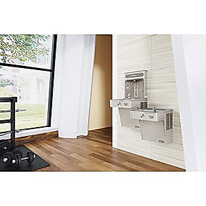 Elkay EZH2O Bottle Filling Station, & Bi-Level High Efficiency Vandal-Resistant Cooler, Filtered 8 GPH Stainless