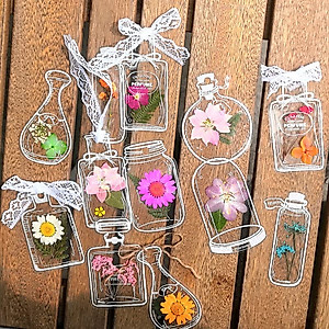 30PCS Dried Flower Bookmarks, Transparent Dried Flower Bookmarks, DIY Plant Bookmark, Handmade Plant Specimens Bookmarks, Glassware Stickers, Flower Page Clips Bookmarks (C)