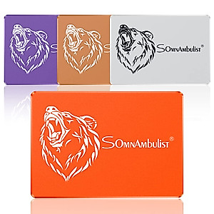 Somnambulist sata3 ssd 120gb 240gb 480gb 960gb 2.5 inch Hard Drive sata3 HDD ssd Laptop 2tb Solid State dr (Orange Bear 960GB)
