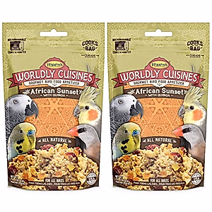 Higgins 2 Pack of Worldly Cuisines African Sunset Bird Treat, 2 Ounces Each