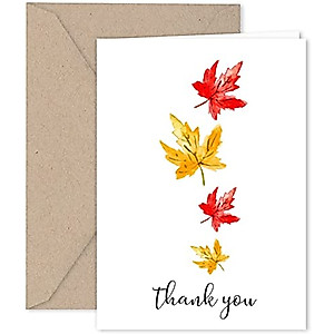 Paper Frenzy Fall Leaves Thank You Note Cards and Kraft Envelopes - 25 pack