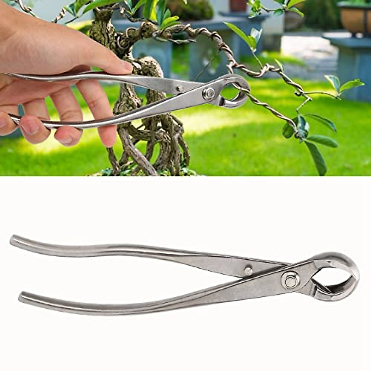 Tgoon Bonsai Cutter, 210mm Ergonomic Handle Branch Clipper Bonsai Styling Tool Professional High Strength for Bonsai Modeling for Branch Removal