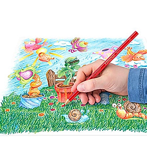 Staedtler Colored Pencils, 36 Colors (144ND36)