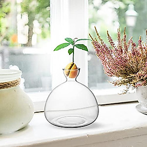 moonoom Avocado Tree Growing Kit,Avocado Seed Starter Vase,Glass Plant Pot with Avocado Stickers,Plant Indoor Grow Gardening Gifts