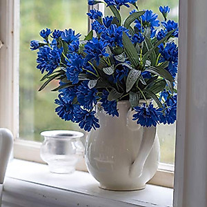 Outsidepride Centaurea Cyanus Cornflower Blue Wild Flower Seeds - 1000 Seeds