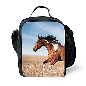 Amzbeauty Horse Lunch Bag for Kids Insulated Freezable Thermos Square Box