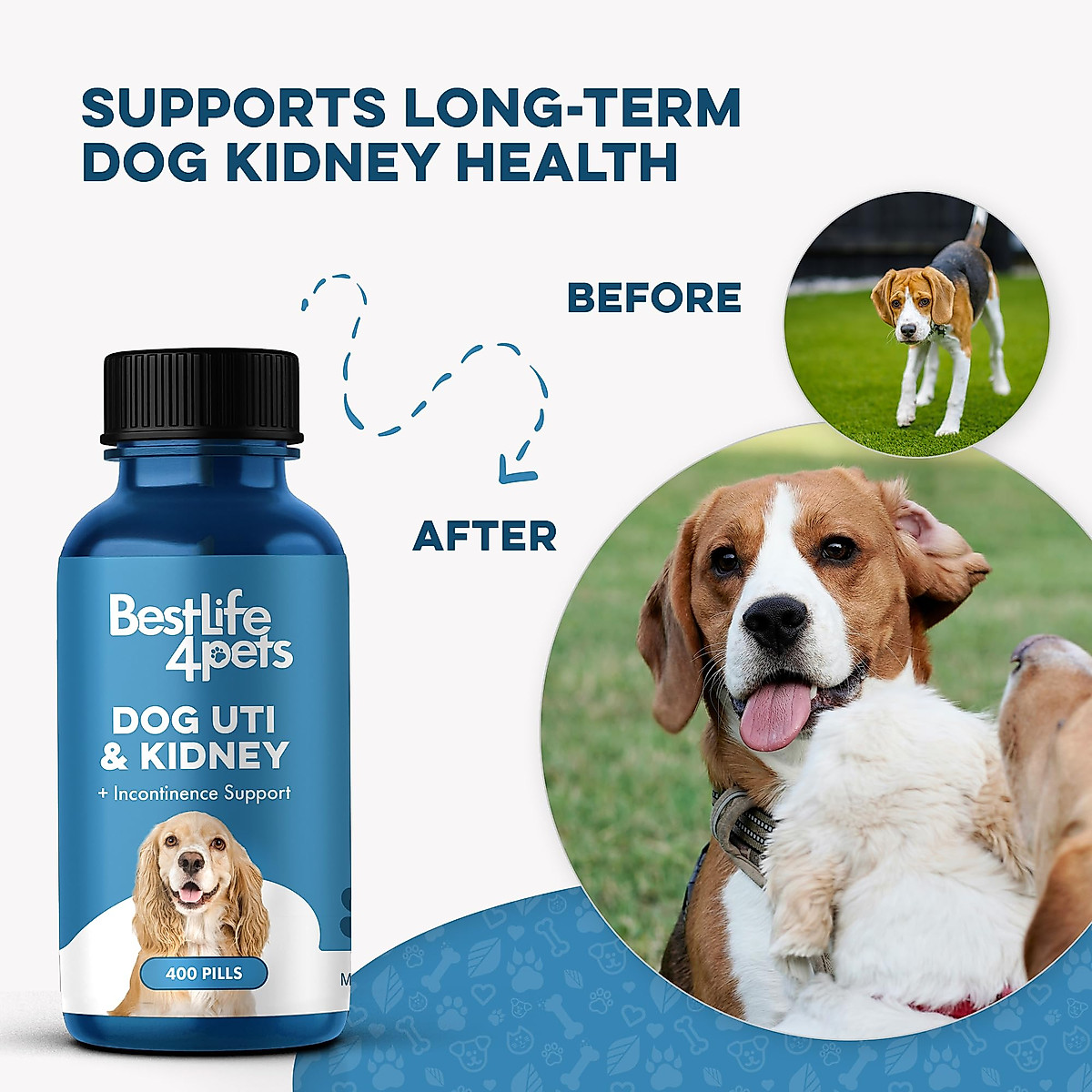 Dog UTI Treatment, Bladder & Kidney Support - Natural Incontinence and Bladder Control for Dogs Reduces Urinary Tract Infections, Flush Out Kidney Stones & Improves Dog Kidney Health - 400 Tiny Pills