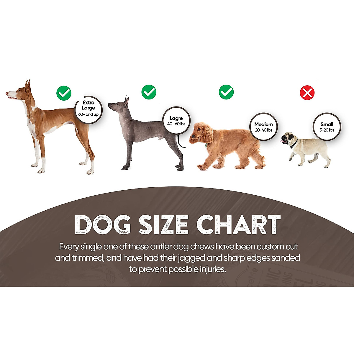 WhiteTail Naturals - Water Buffalo Horns for Dogs (Monster XX-L) All-Natural Dog Bone - Long Lasting Chew Toy for Aggressive Chewers and Teething Puppies