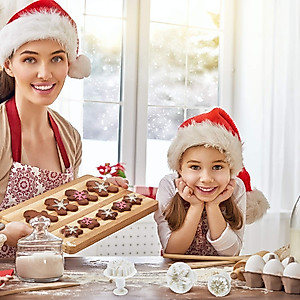 12 Pieces Snowflake Plunger Cutters Christmas Winter Snowflake Mold Cookie Fondant Christmas Snowflake Frozen Plunger Cutter Cake Decoration Embossing Tool