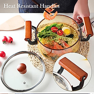 Hgjgwqh Glass Simmer Pot with Lid, Glass Pots for Cooking with Cover and Wooden Handle High Borosilicate Stovetop Cooking Pot for Pasta Noodle Soup Milk Baby Food, Amber, Glass Cookware,3L