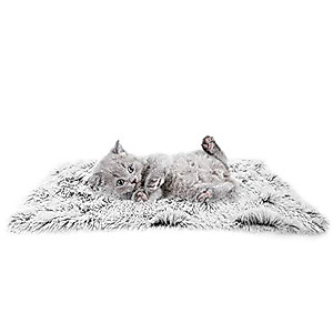 PJYuCien Fluffy Fleece Cat Dog Blanket, Soft Warm Pet Throw Blanket for Dogs & Cats (Small 16" x 24")