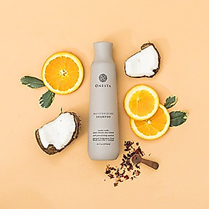 Onesta Hair Care Plant Based Moisturizing Shampoo for Dry and Damaged Hair, 16 Ounces
