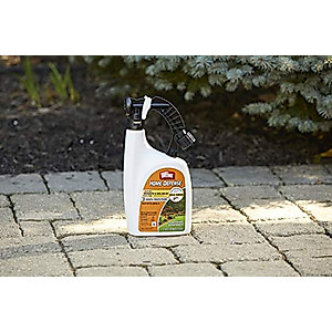 Ortho Home Defense Backyard Mosquito and Bug Killer Ready-To-Spray - Kill Mosquitoes That May Transmit the Zika Virus, 3 Month Protection, 32 oz. (2-Pack)