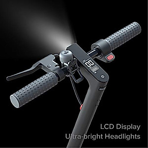 Populo Folding Electric Scooter for Adults - Powerful 350W Motor, Long Battery Life, Double Braking System, Portable Design - Up to 15 MPH & 14.5 Miles Range with 8.5" Pneumatic Tires