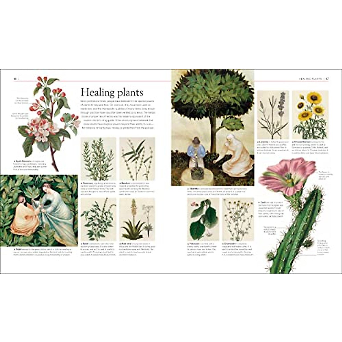 A History of Magic, Witchcraft, and the Occult (DK A History of)