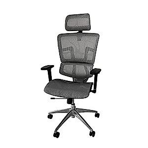ErgoMax Ergonomic Adjustable, Breathable Mesh Fabric, Home Office Chair, 53 in. Max Height, Gray