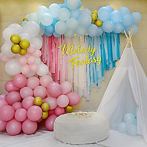 melody fantasy 200 Plastic Strips Pink Blue White Streamers Backdrop Pastel Streamers Fringe Backdrop for Gender Reveal Party Background Streamers Decorations Winter Wonderland Baby Shower Birthday