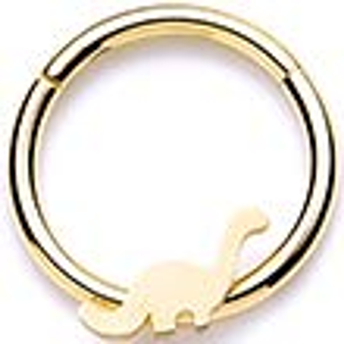 Body Candy 16G PVD Steel Hinged Segment Ring Seamless Cartilage Nipple Ring Brontosaurus Nose Hoop 3/8"