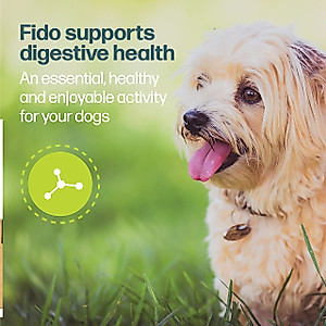 Fido Naturals Doozie Bones Dental Care Treat for Dogs, Cheese Flavored, Made with Sunflower, Chia, & Flax Seeds-Naturally Freshens Breath, Reduces Plaque & Whitens Teeth 21ct - Mini Treats (Pack of 1)