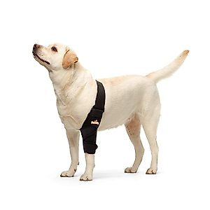 NeoAlly Dog Elbow Brace Protector Pads for Canine Elbow and Shoulder Support Elbow Hygroma, Dysplasia, Osteoarthritis, Elbow Calluses, Pressure Sores and Shoulder Dislocation (Left Leg, Large)