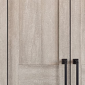 Sauder Miscellaneous Storage Spring Maple Two-Door Storage Cabinet, Spring Maple Finish