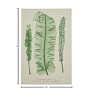 Amazon Brand – Stone & Beam Modern Green on White Botanical Canvas Print Wall Art, 16" x 24"