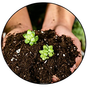 FoxFarm Happy Frog® Soil Conditioner, 1.5 cu ft