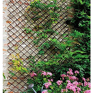 Sumery Nature Willow Trellis Expandable Plant Support Plant Climbing Lattices Trellis Willow Expandable Trellis Fence for Climbing Plants Support 36x92 Inch,Double Panel (1, Willow Wicker Fence)