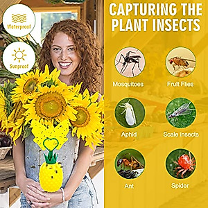 Fruit Fly Traps with 24Pcs Sticky Pads,Gnat Traps with Bait Non-Toxic Fruit Fly Traps for Indoors Outdoor Odorless Safe Fly Catcher Gnat Fruit Flies Trap Fly Insect Trap for Plant House Kitchen,4 Pack