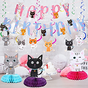 Chinco 16 Pcs Cat Theme Birthday Party Decorations Party Supplies Kit, Includes Cat Party Banner with 6 Cat Hanging Cutouts 6 Hanging Swirl Decor and 3 Birthday Honeycomb Party Decoration(Cool Style)