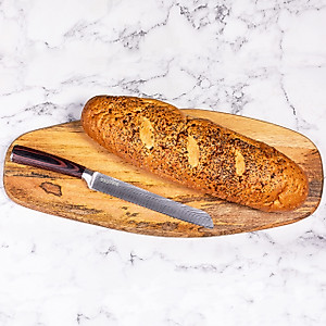 waisnova 8 Inch Serrated Bread Knife - Ultra Sharp Bread Cutting Knife, High Carbon Stainless Steel, Ergonomic Handle, Easy to Use, Durable - Includes Protective Sheath and Gift Box