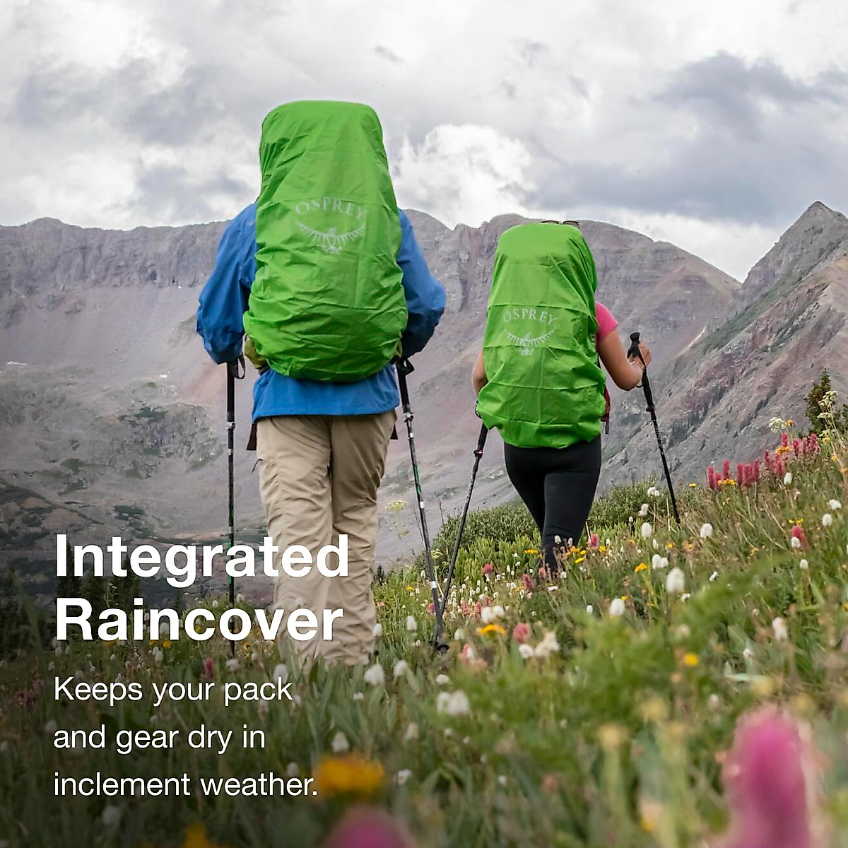 Osprey Ariel Plus 60 Women's Backpacking Backpack , Night Jungle Blue, Medium/Large