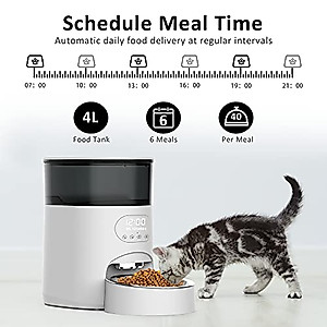 GHG Automatic Cat Feeder, 4L Auto Pet Food Dispenser with Stainless Steel Bowl, Desiccant Bag, Programmable Portion Timed Control 1-6 Meals Per Day, 10s Voice Recorder for Small Medium Cats and Dogs